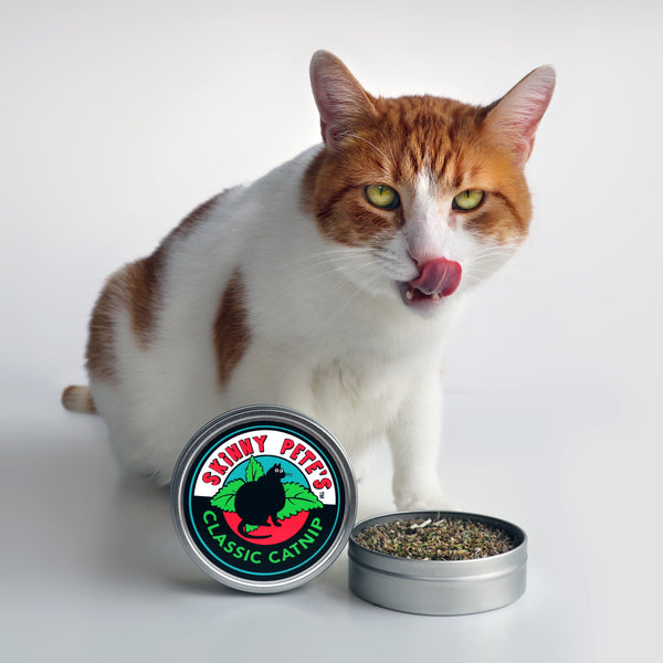 Catnip – Skinny Pete's Catnip
